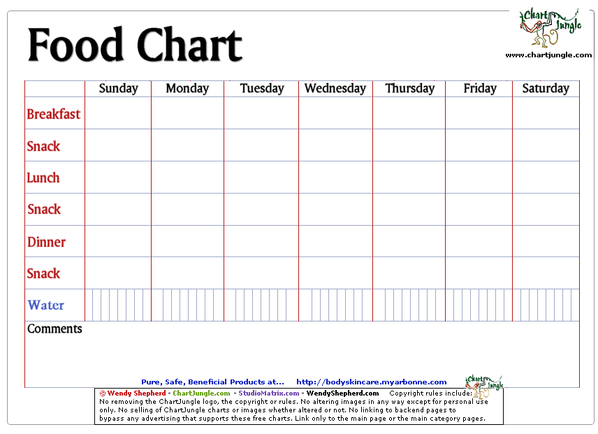 Food And Fluid Chart Template